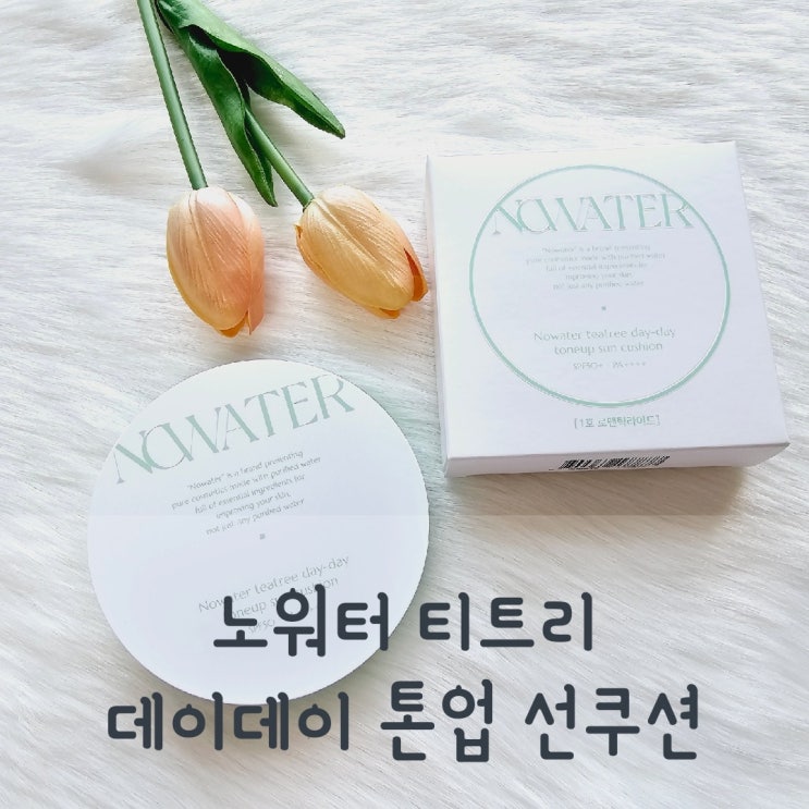 순한 썬팩트 추천 노워터 티트리 데이데이 톤업 선쿠션 밀착력도 좋아서 가벼운 느낌 네이버 블로그