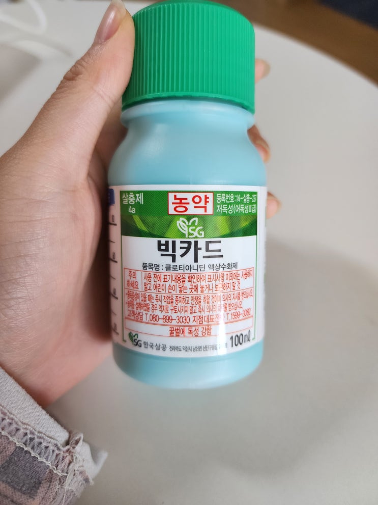 식물일기 뿌리파리 박멸 1 비오킬 살충제와 빅카드 농약 뿌리파리를 목표했지만 진드기가 나와버린 네이버 블로그
