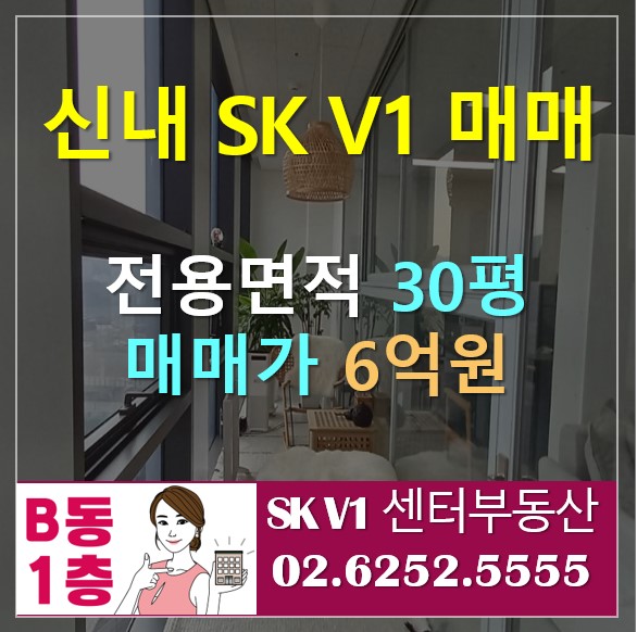 신내SKV1, 차별화 된 인테리어 풍부한 임대 수요 다용도의 입주 매매 매물 : 네이버 블로그