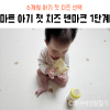 6개월 아기 첫 치즈 마트에서 급하게 구매해야한다면 나트륨 적은 덴마크 치즈 1단계 내돈내산 네이버 블로그