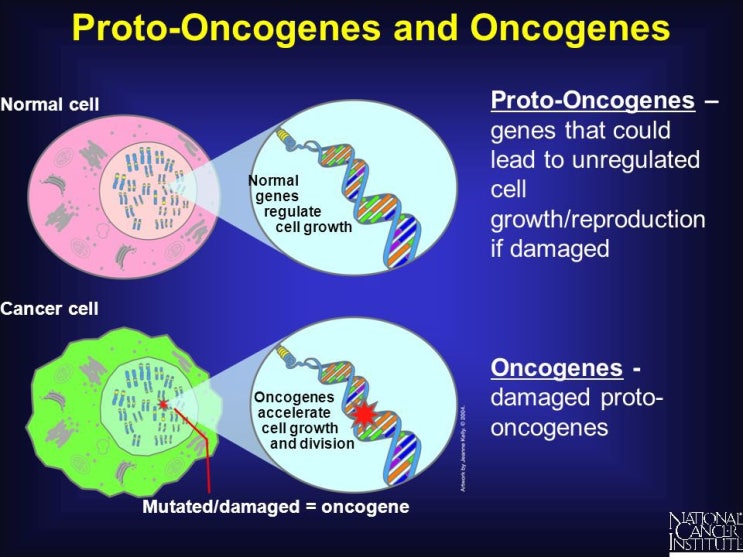 발암유전자 Oncogene : 네이버 블로그