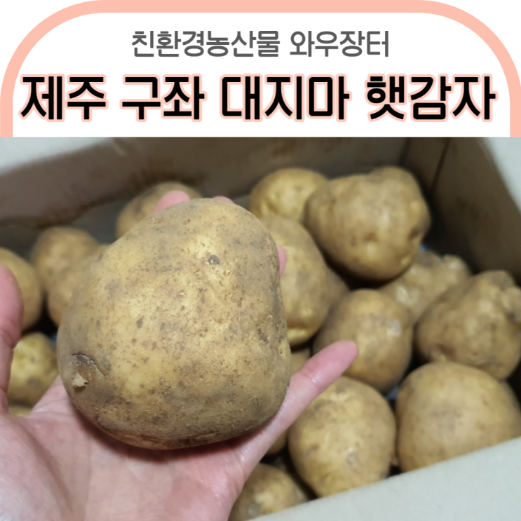 제주 구좌 대지마 감자 5kg 와우장터 후기 네이버 블로그