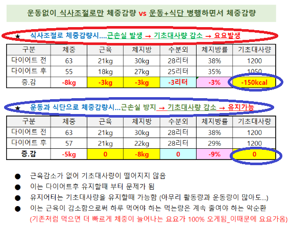 용인시 보정동 헬스장 식사조절로만 다이어트 Vs 운동식단 병행하면서 체중감량시 차이점 요요없는 다이어트~ 네이버 블로그