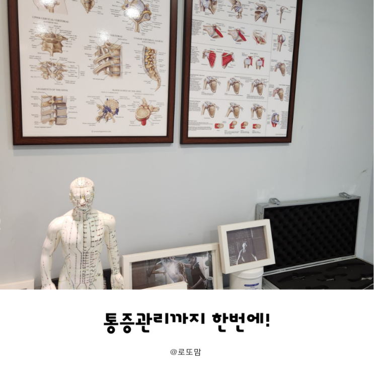강남역 통증관리와 운동을 한번에 제이은 필라테스and월요가 네이버 블로그