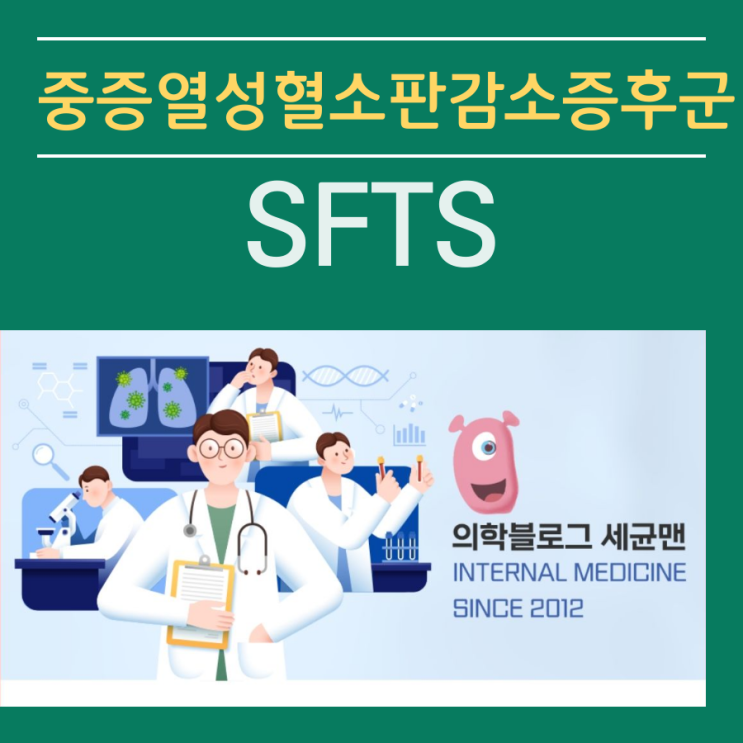 중증열성혈소판감소증후군 SFTS (Severe Fever with Thrombocytopenia Syndrome) : 네이버 블로그