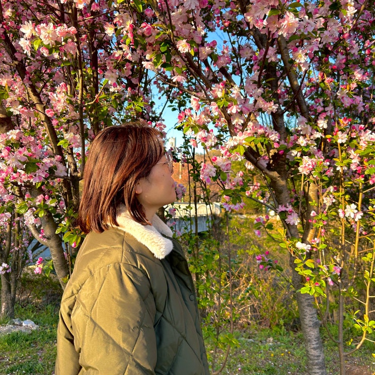 인스타 스토리 글씨 타이핑 효과 넣는 방법 인스타그램 스토리 꾸미기 네이버 블로그