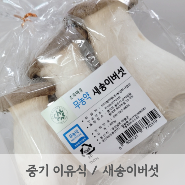 중기이유식 새송이버섯 큐브 만드는 방법 새송이버섯 토핑 토핑이유식 베이비무브 네이버 블로그