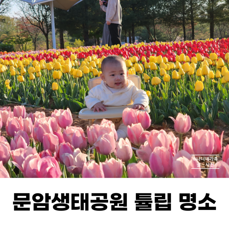 청주 문암생태공원 아이와 가볼 만한 곳 튤립 명소ft 반려견 놀이터 네이버 블로그
