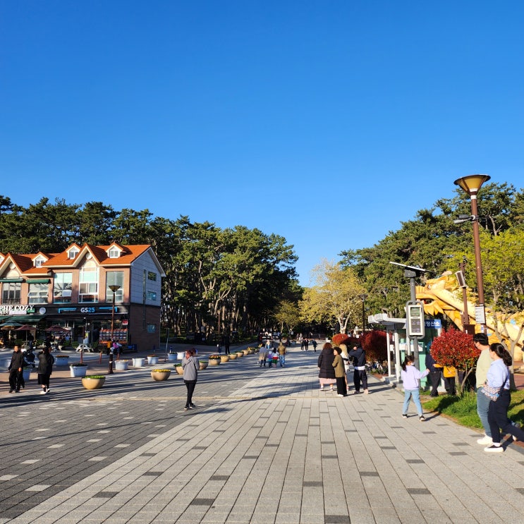 울산 아기랑 가볼 만한 곳 울산 안에 제주도 슬도 소리 박물관 유채꽃이랑 대왕암공원 입구 용미끄럼틀 네이버 블로그