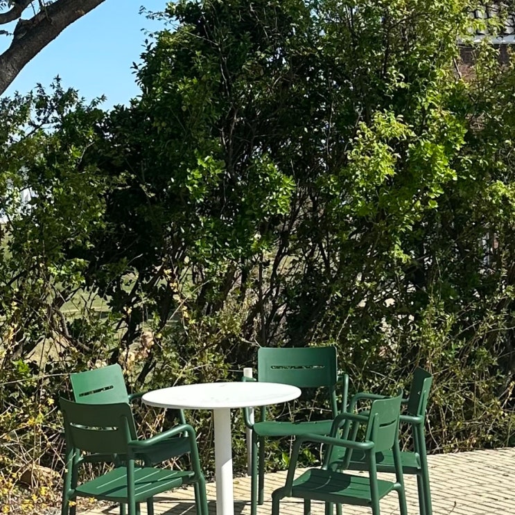 울산 동동 카페 울산 서동 병영 근처 신상 한옥 베이커리 카페 파라안병영성 네이버 블로그
