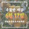 36기 주말반 개강 6월 17일 간호조무사물리치료사작업치료사 자격증 보유자국비지원요양보호사내일배움카드