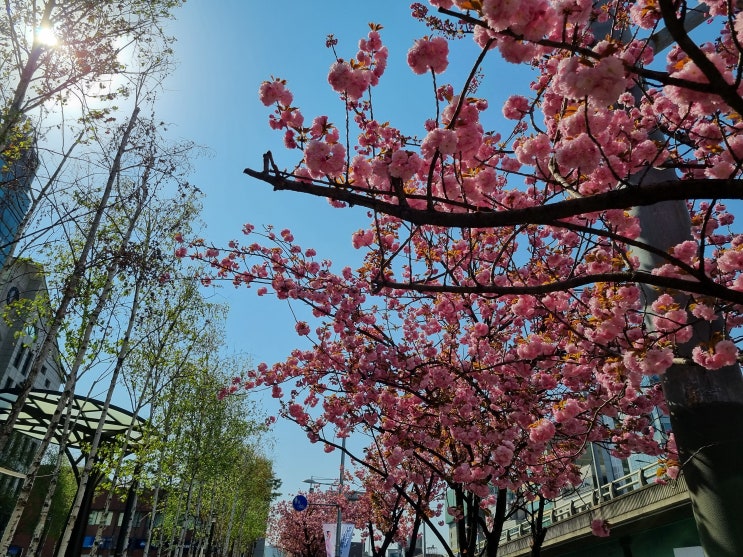김윤신 더하고 나누며 하나 남서울 미술관 네이버 블로그