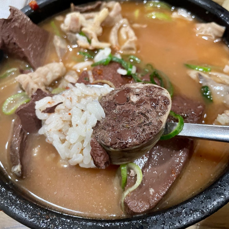 익산시 맛집 시장비빔밥 감동을 주는 선지순대국밥 육회비빔밥 네이버 블로그