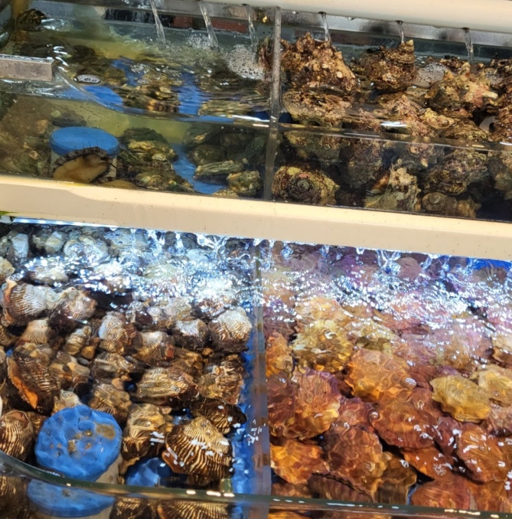 칠곡3지구맛집 조개무한리필 클램씨 방문후기 네이버 블로그