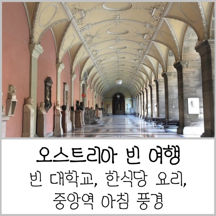 동유럽 오스트리아 비엔나 여행 빈 대학교와 한식당 맛집 요리 그리고 중앙역 주변 아침 풍경 네이버 블로그