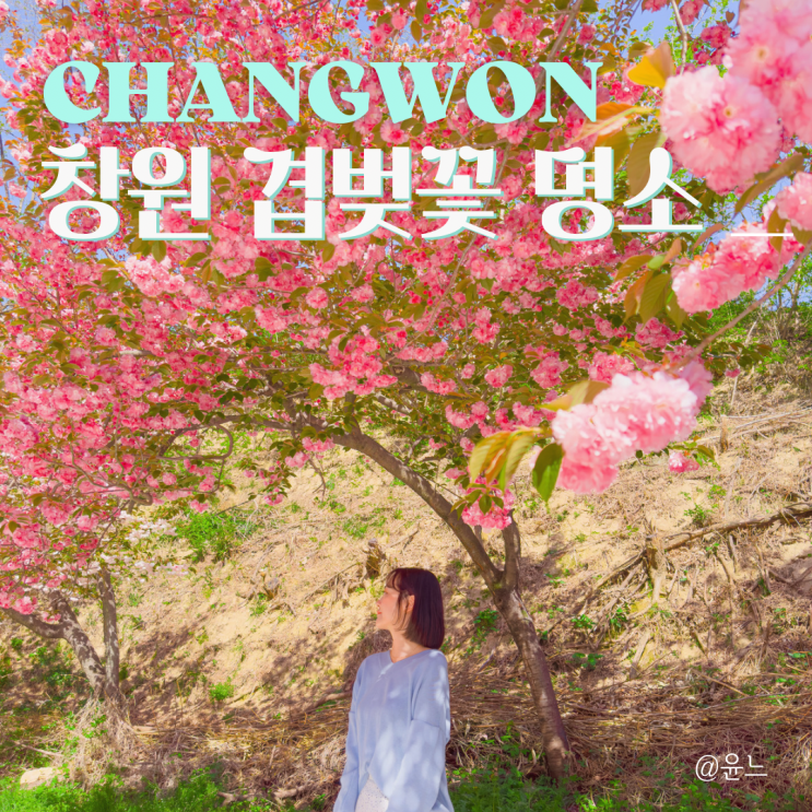 부산근교 창원 겹벚꽃 명소 늘푸른전당 성산패총 솔직후기 네이버 블로그