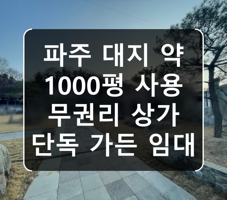 파주 가든 임대 도로변 인접 대지 약 1000평 사용 무권리 단독 상가 임대 애견카페 바베큐식당 임대 가능 네이버 블로그