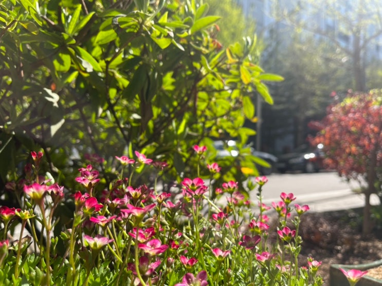 생명력의 발현, 하나님 손길을 마주하는 시기의 기도편지 (23/3-4 기도편지) : 네이버 블로그