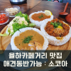 김해 율하 카페거리 3가지 맛 카레 카츠 맛집 소코아애견 동반 가능 식당 네이버 블로그