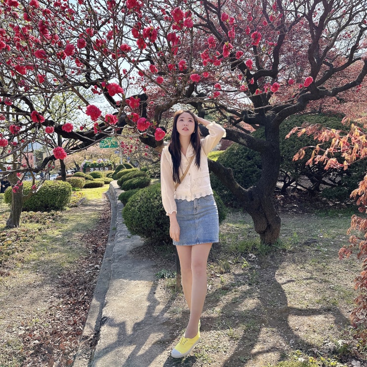 벤시몽 23SS 스니커즈 엘리, 니트 가디건 여자코디추천 : 네이버 블로그