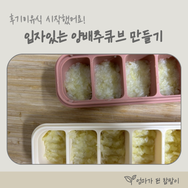 양배추큐브 입자있게 만들기 후기이유식 시작 네이버 블로그