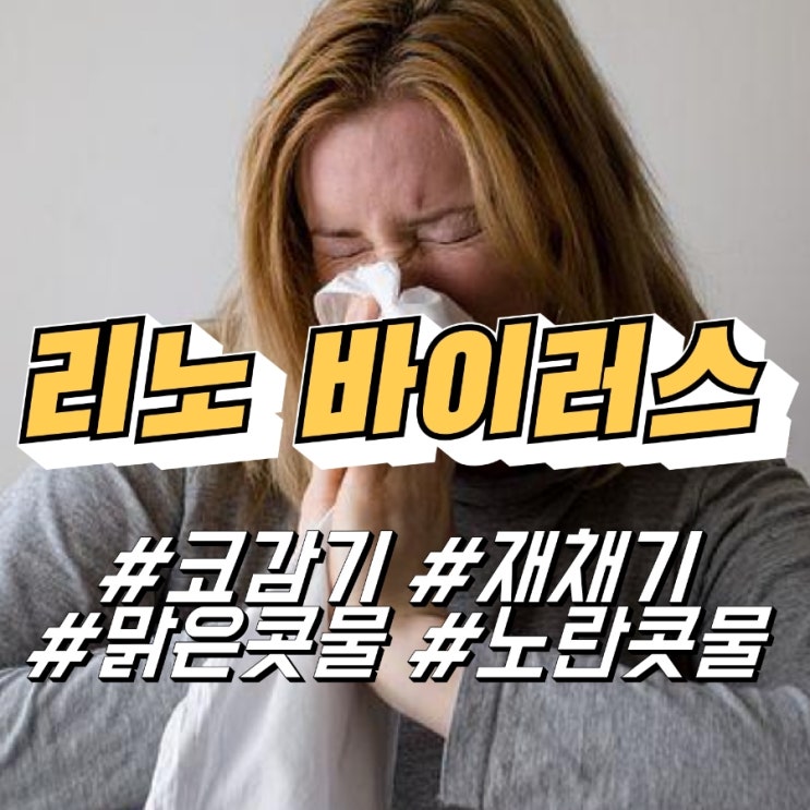 코감기 원인 리노바이러스 증상 및 치료 맑은 노란 콧물 재채기 네이버 블로그