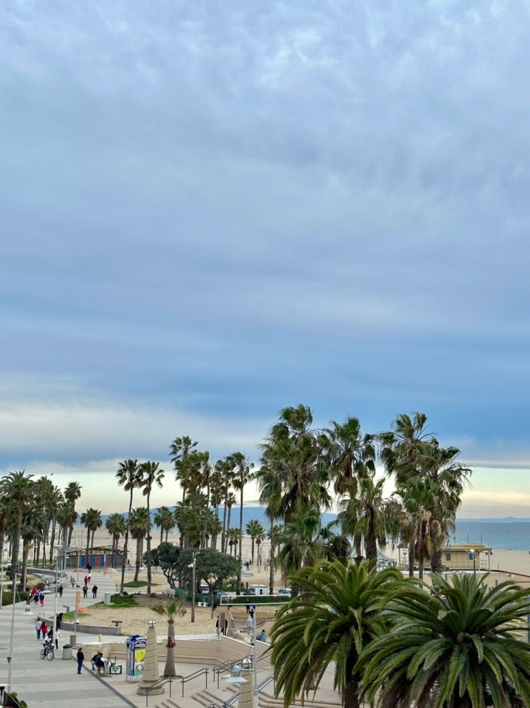 미국서부여행 : ep.5 리퍼블리크 / 에보키니거리 / 인텔리젠시아커피 / 베니스비치 / 산타모니카비치 / 다이코쿠야 : 네이버 블로그