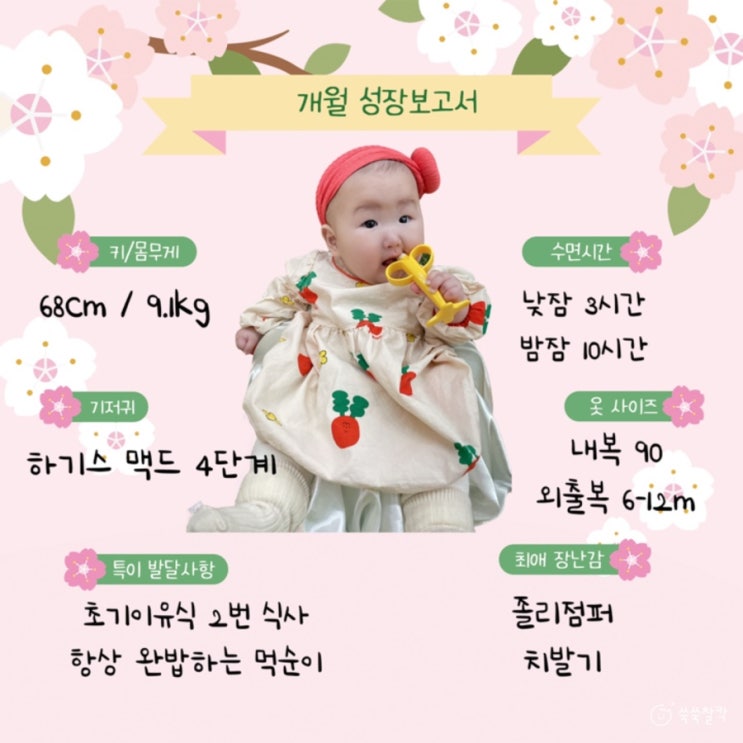 생후 6개월 아기발달 수면시간 낮잠 분유량 이유식 양 놀아주기 네이버 블로그