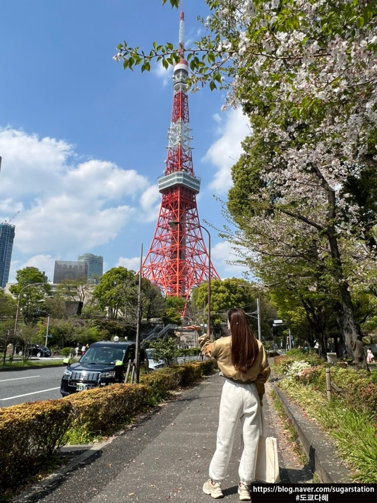 도쿄 4월 일상/도쿄타워/사쿠라/시바공원/스시/디저트/요코하마 : 네이버 블로그
