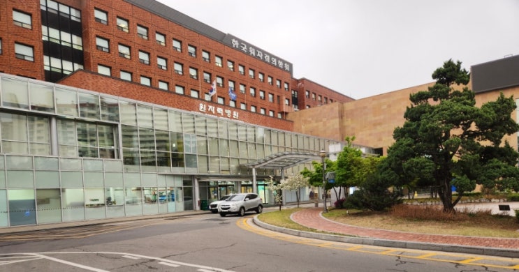 원자력 병원 가는 길/ 밤마다 예뻐지세요♡ : 네이버 블로그