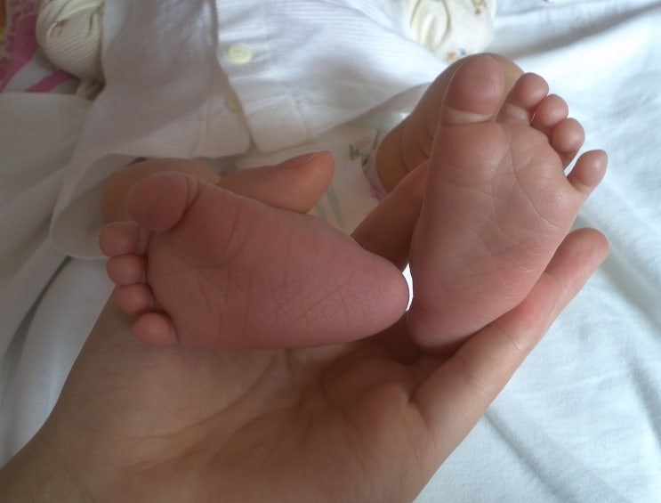 분유거부 고민이라면 미숙아분유로 따라잡기성장 가능 네이버 블로그