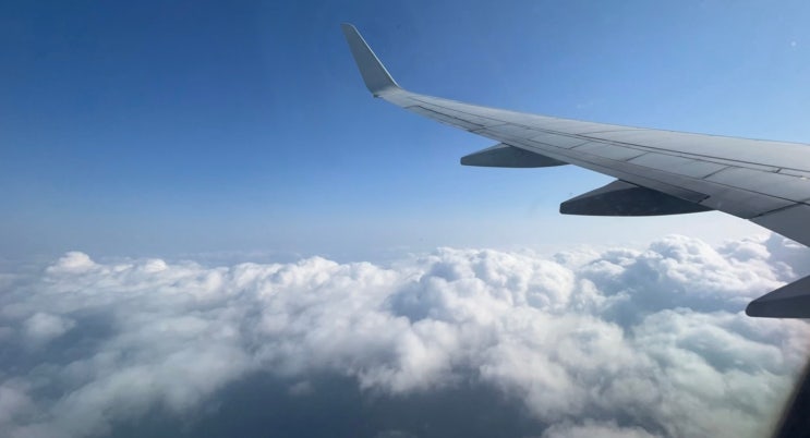 3박4일 제주여행 첫째날 제주도 여행 비행기 구름 김포공항 제주국제공항 야자수 성산 봄 그리고 가을리조트 소반