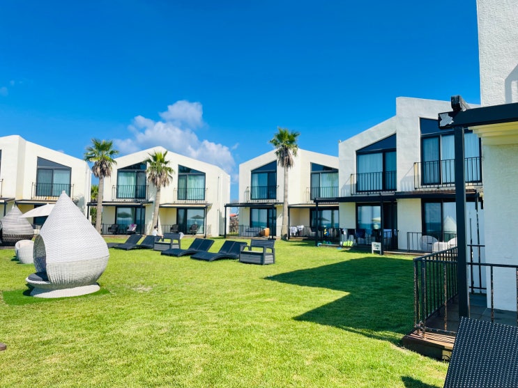 [제주도/하도리] 엠제이 리조트 MJ Resort : 네이버 블로그