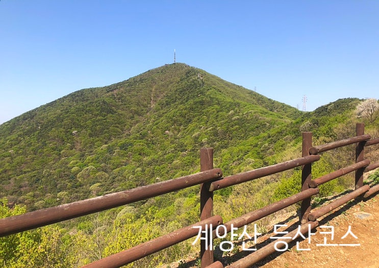 4월 계양산 등산코스 추천 팔각정에서 정상까지 초보 등산 먹거리 계양산 주차장 정보 네이버 블로그