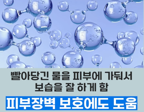 병원화장품 시카크림 베타시토스테롤 성분 네이버 블로그