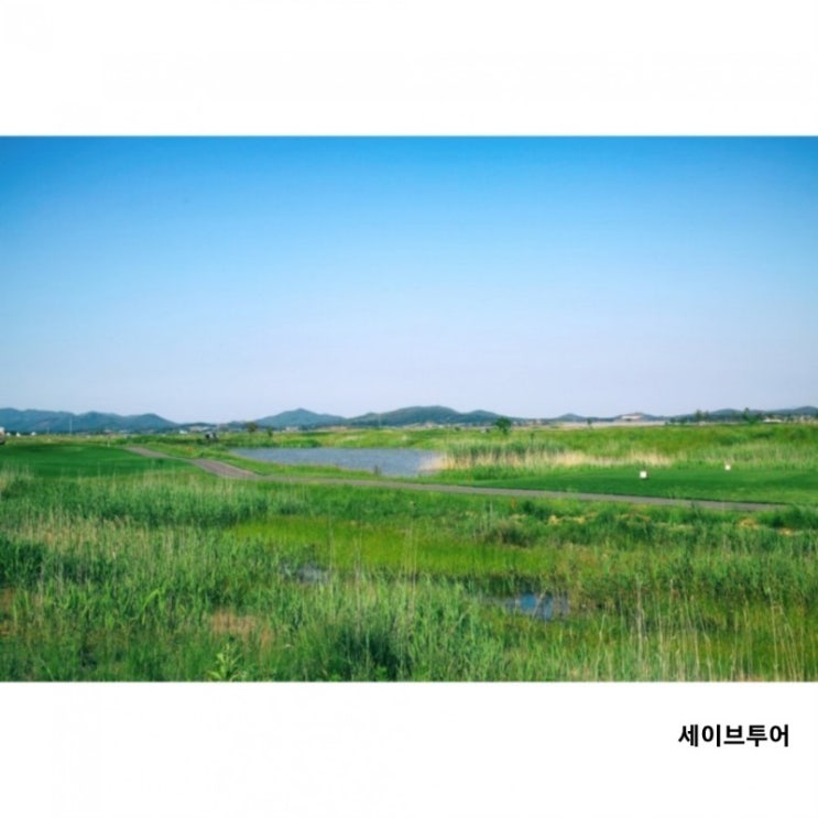 충청도 태안 로얄링스cc 1박2일골프 고풍스럽고 럭셔리한 봄날의 골프장은 네이버 블로그