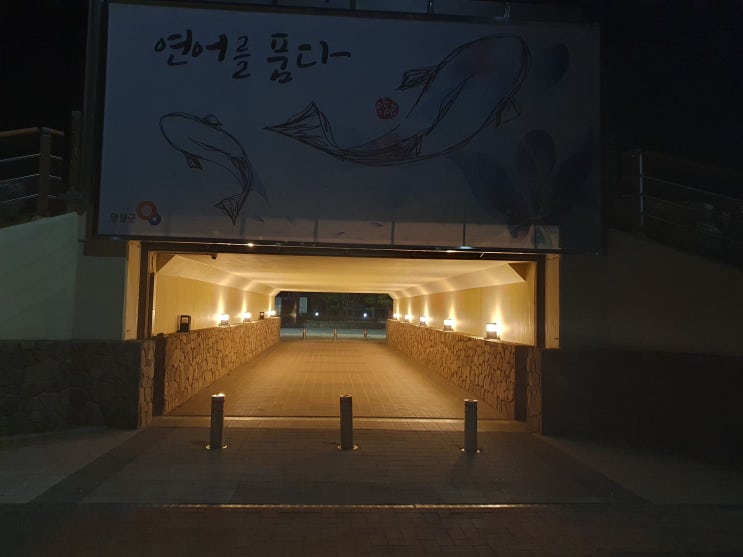 양양남대천 돌다리 양양읍내 인형뽑기 다나카 토크콘서트 E7양양죽도오션스테이양양 523호 네이버 블로그