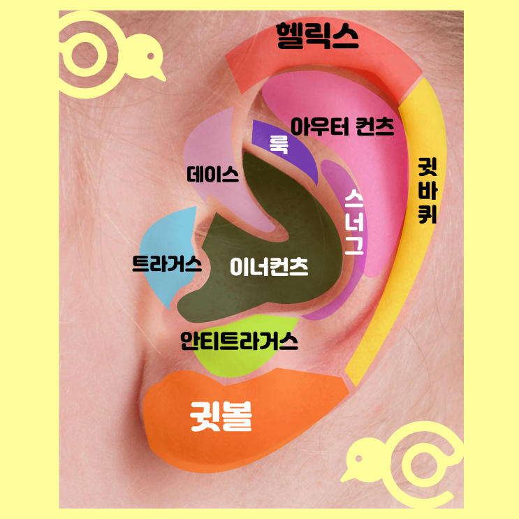 귀 피어싱 위치 추천 안티 트라거스 스너그 제니 정국 귓볼 귓바퀴 연골 별존 네이버 블로그