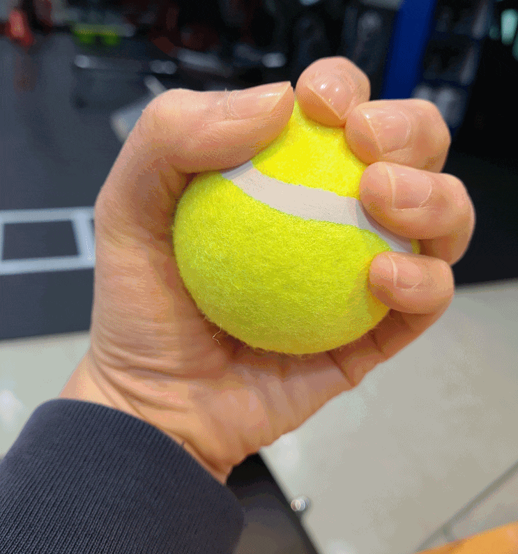 한티역 PT 테니스 공으로 악력운동을 해보자 한티역 퍼스널트레이닝 Jgym : 네이버 블로그