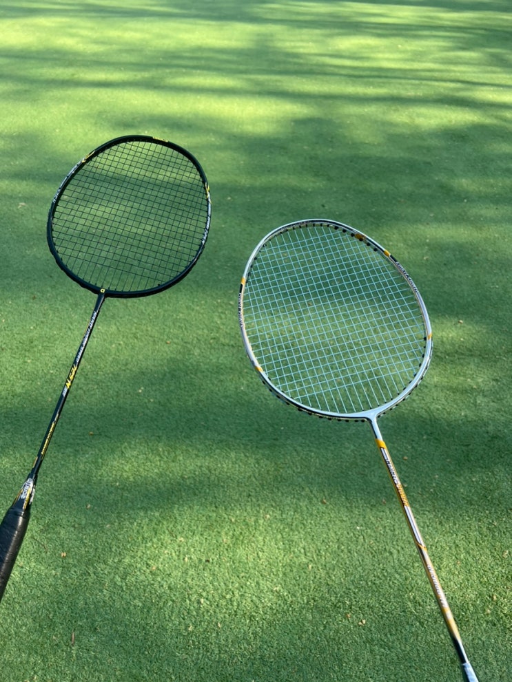 🏸 서울 성동구 배드민턴장 대현산체육관 일일입장 충무스포츠센터 금호스포츠센터 배드민턴 후기 네이버 블로그