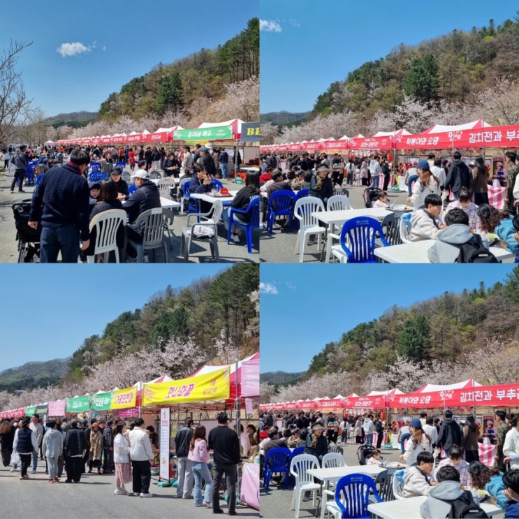 서울근교 드라이브 코스 꽃구경 가볼만한곳 가평 볼거리 놀거리 먹거리 청평 갈만한곳 에덴벚꽃길벚꽃축제 기본정보 네이버 블로그