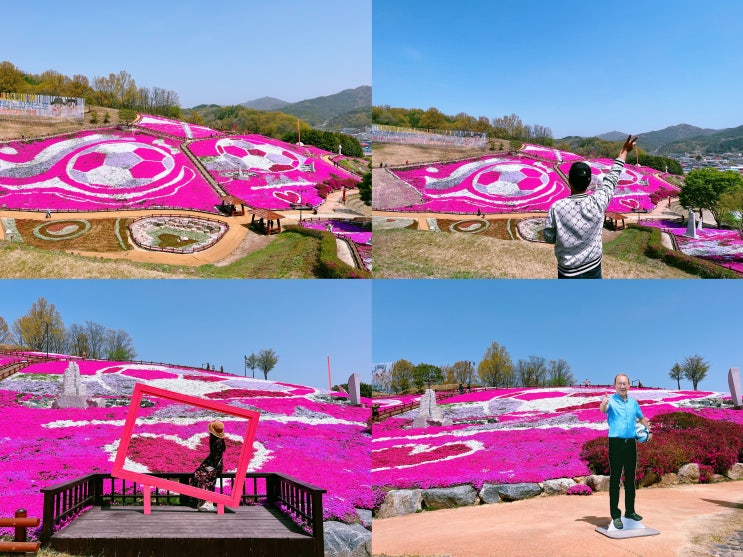 산청 꽃잔디 축제 생초국제조각공원 경남 산청 여행 4월 꽃구경 네이버 블로그