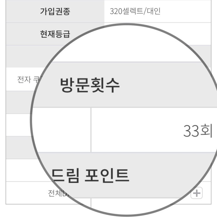 에버랜드 정기권 연간회원권 요금 혜택 등급 꼼꼼히 따져보고 이용해요 네이버 블로그
