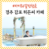 경주 감포 오션뷰 히든씨 카페 아이와 놀기 좋아요 네이버 블로그