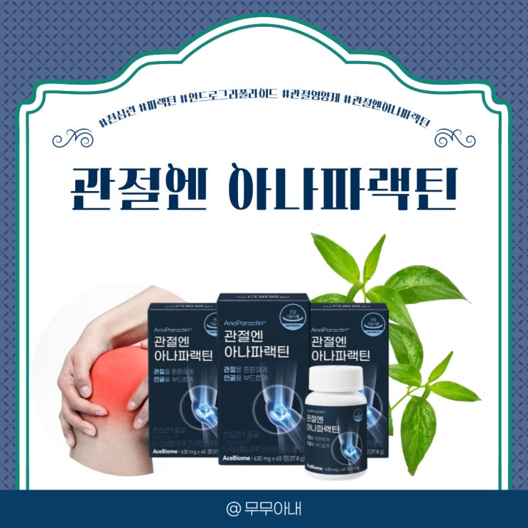 천심련 추출물 파랙틴 관절영양제 관절염 관절통 고민이라면 관절엔 아나파랙틴 네이버 블로그