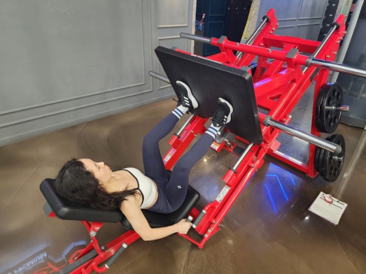 분당pt 레그프레스 머신 몬스터글루트 엉덩이 근육 운동법 : 네이버 블로그