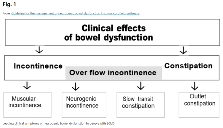 neurogenic bowel : 네이버 블로그