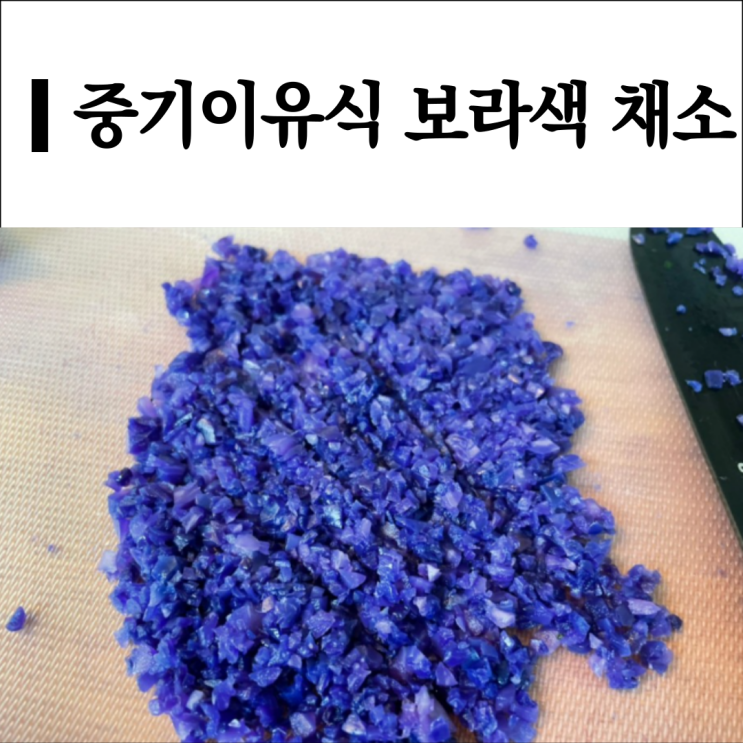 중기이유식 가지큐브 적채큐브 보라색 채소 이유식 만들기 네이버 블로그