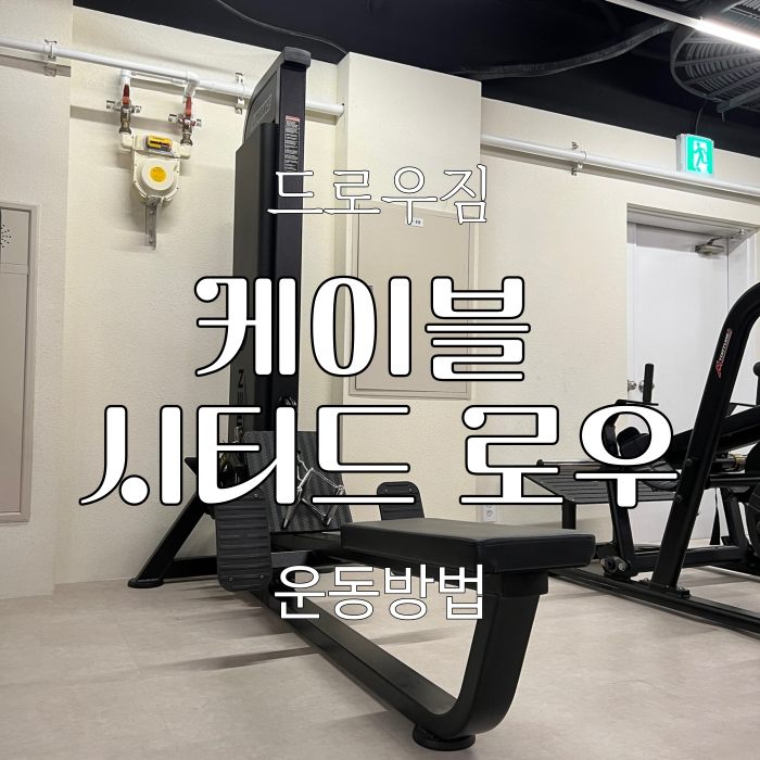 미아역 헬스장 케이블 시티드 로우 사용방법 네이버 블로그