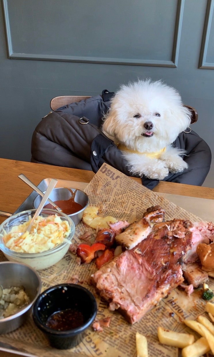 대구 애견동반식당 팔공산 맛집 중대동380 텍사스 바베큐 네이버 블로그